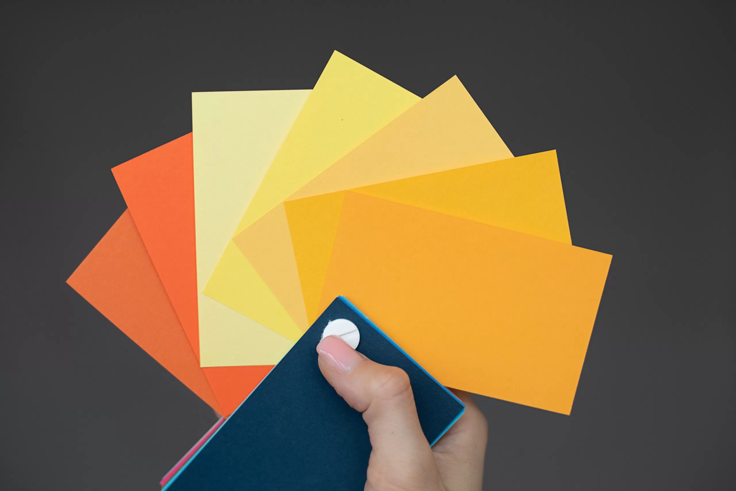 Cek! Ini 9 Rekomendasi Website Mencari Color Palette yang Tepat ...